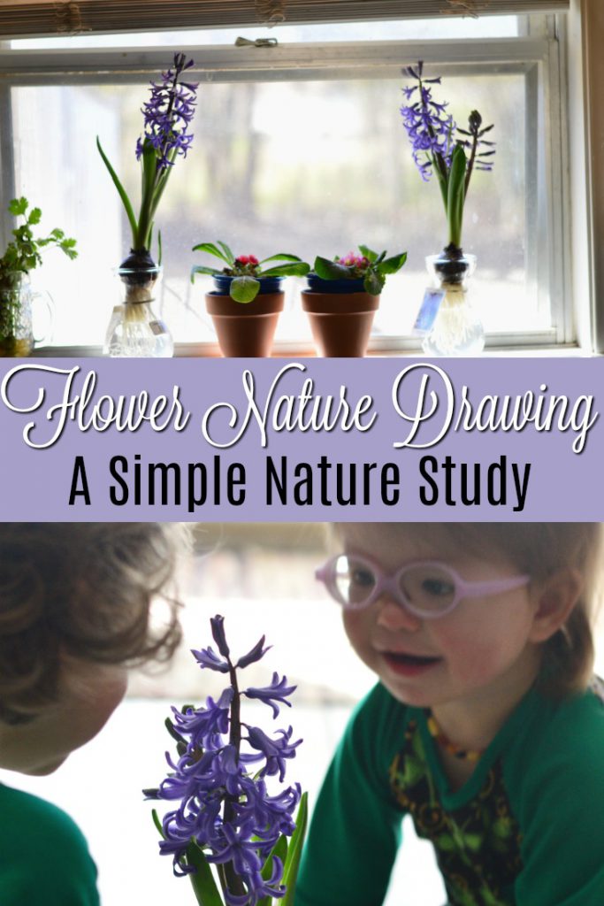 Flower Nature Drawing - A Simple Nature Study