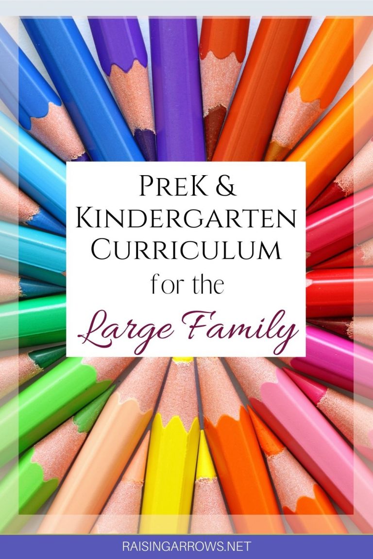 Preschool and Kindergarten Homeschool Curriculum Picks for the Large Family