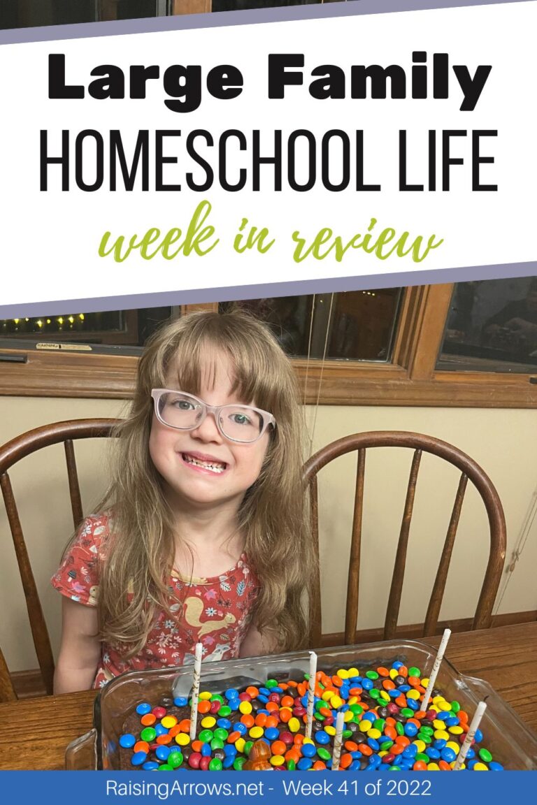 Large Family Homeschool Life - Week 41 of 2022