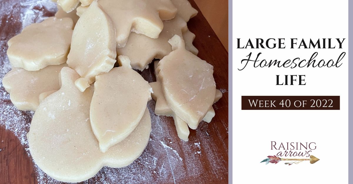 Large Family Homeschool Life - Week 40 of 2022