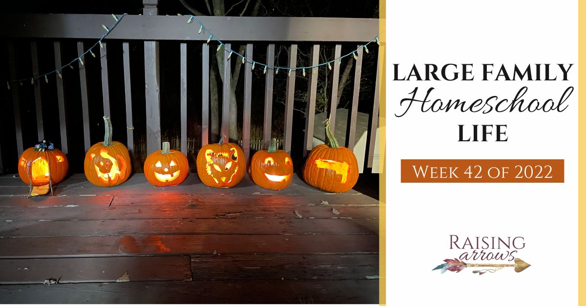 Large Family Homeschool Life - Week 42 of 2022