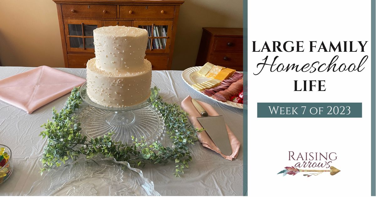 Large Family Homeschool Life - Week 7 of 2023