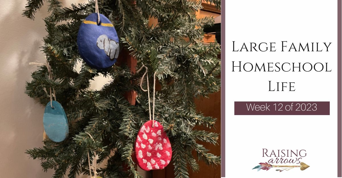 Large Family Homeschool Life - Week 12 of 2023
