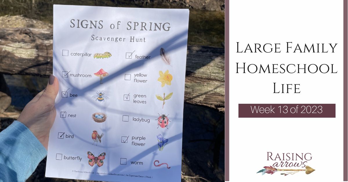 Large Family Homeschool Life - Week 13 of 2023