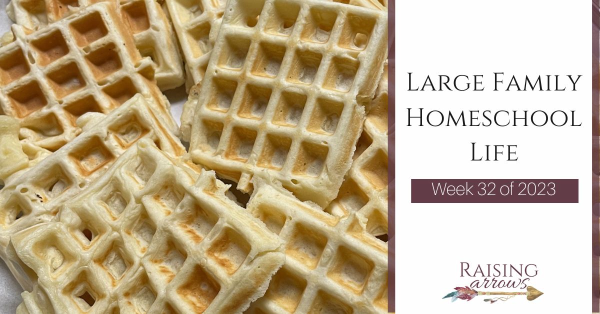 Large Family Homeschool Life - Week 32 of 2023
