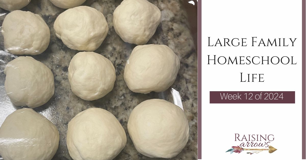 Large Family Homeschool Life - Week 12 of 2024