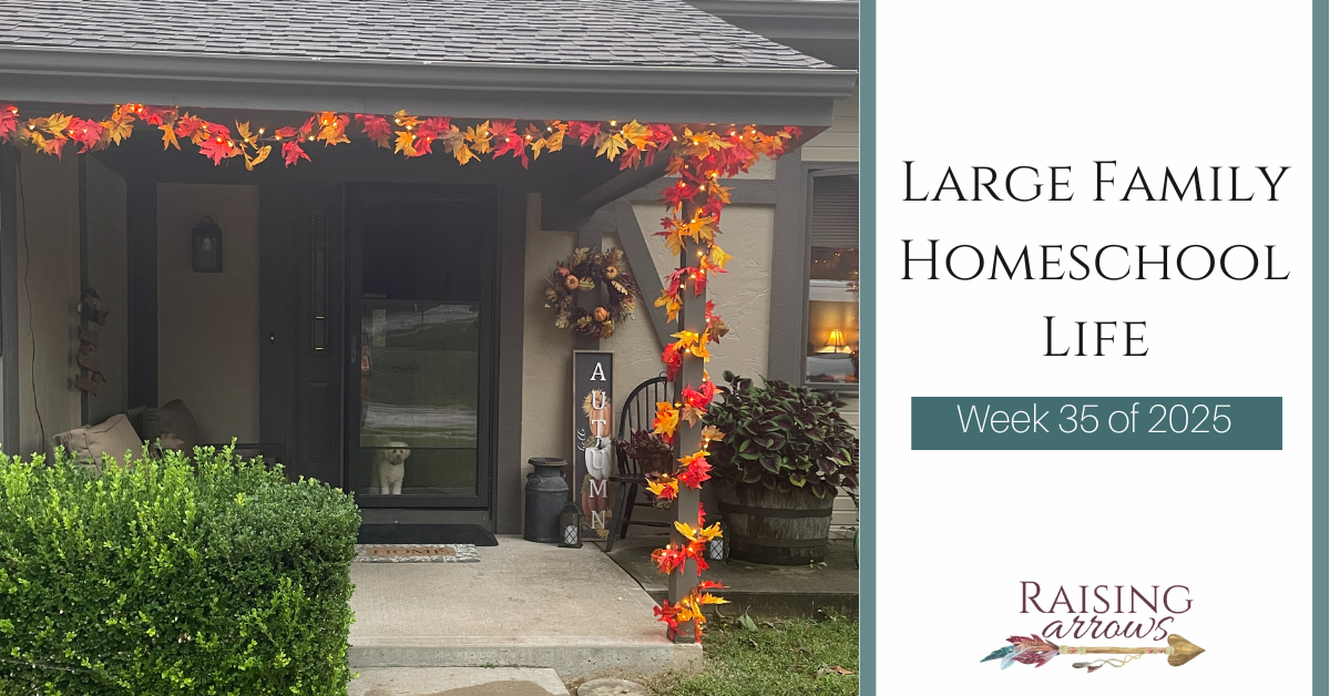 Large Family Homeschool Life - Week 35 of 2025